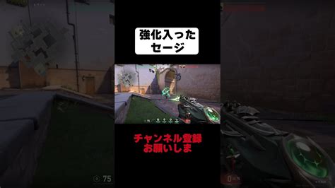 【valorant】強化の入ったセージ Valorant動画まとめ