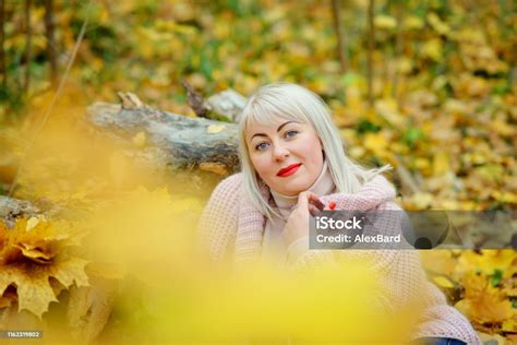 화창한 가을 날 부드러운 니트 점퍼를 입고 숲속의 화창한 가을날 밝은 중년 금발이 포즈를 취하고 있다 나뭇잎을 통해 사진 여성의 크기 플러스 Xxl 가로 보기 가을에 대한