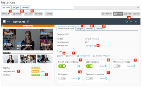 The Plesk Wordpress Toolkit Wordpress Security Auto Updates And