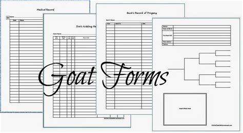 Printable Goat Health Record Forms Printable Forms Free Online