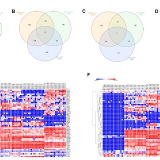 Comparison Of Proteomic Signatures In Different Brain Regions Among The Download Scientific