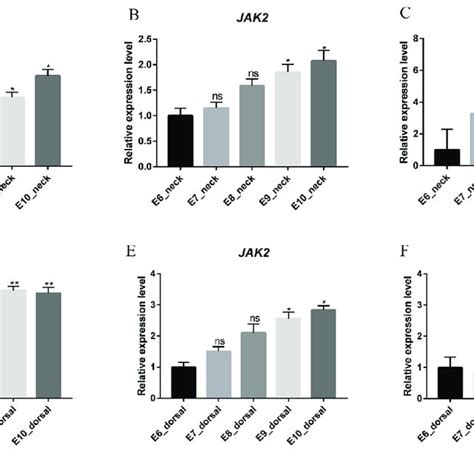 Quantitative Real Time Pcr Validation Of Gene Expression Levels A