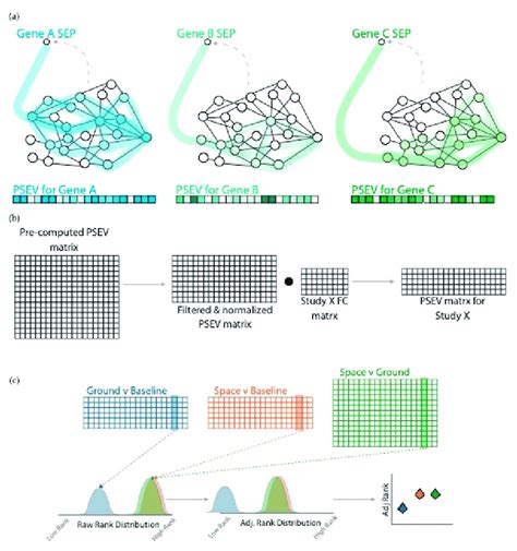 Propagated Spoke Entry Vectors Psevs Using Gene Expression