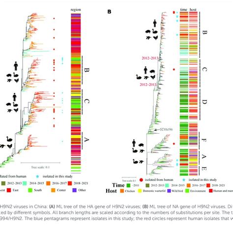 Bayes Factor And Posterior Probability Support For All Location