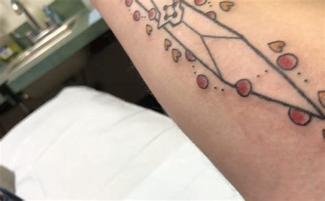 Venus Wink Chain Sword Brian Fence