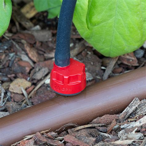 Xeri Bug™ Emitters With Check Valve Rain Bird