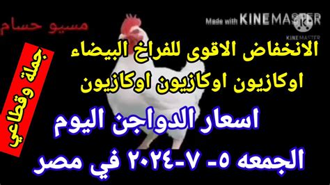 اسعار الفراخ البيضاء اليوم اسعار الدواجن اليوم الجمعه ٥ ٧ ٢٠٢٤ جمله