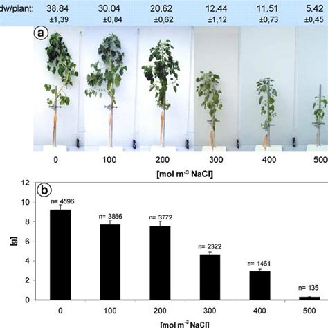 Plant Growth A And Seed Yield B Of Chenopodium Quinoa Grown At Download Scientific