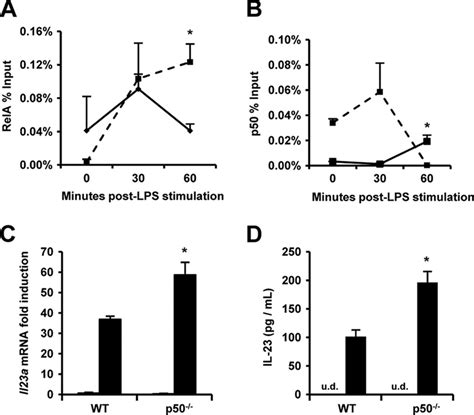 Irf 1 Deficiency Alters Nf B Subunit Recruitment To The Il23a Promoter Download Scientific