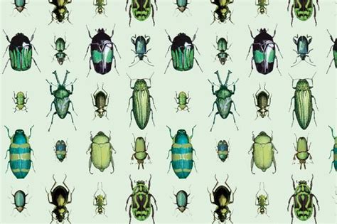 Vintage Bug Seamless Pattern Traditional Tattoo Illustration Graphic