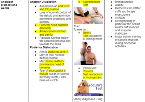 Shoulder Flashcards Quizlet