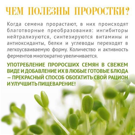 Льна тёмного семена 1,5 кг