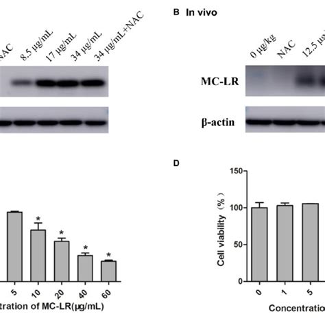 Measurement Of Cell Viability And Microcystin Lr Mc Lr Detected In Download Scientific