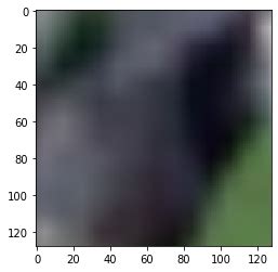 Albumentations with PyTorch for image data augmentation | snippets