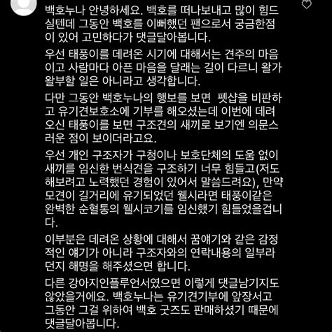 이슈 유머 의견이 분분한 웰시코기 이웃집 백호 상황