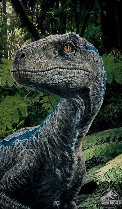 Dinosaur Wallpaper Hd Apk For Android Download