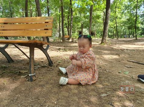 11개월 아기 발달 소근육 발달 구강기 줄어듬 네이버 블로그