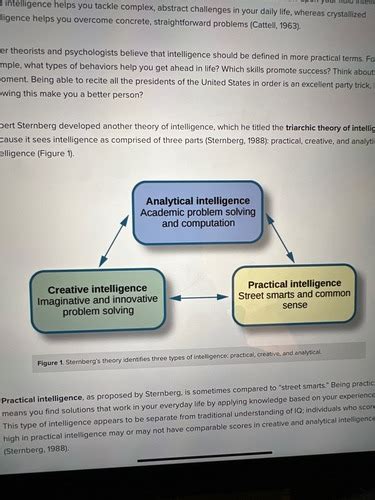 Psy 201 Intelligence And Creativity Flashcards Quizlet Psy 201 Intelligence And Creativity Flashcards Quizlet