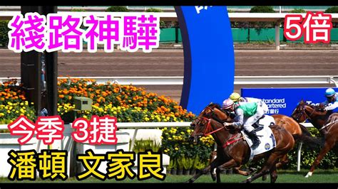 綫路神驊 G078潘頓文家良沙田賽事凱旋門頭馬相現場版 5月28日 第6場 沙田賽馬 Youtube