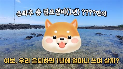 40대 파이어족 부부가 합의한 은퇴 후 1년 필요 경비 공유합니다🤓 Youtube