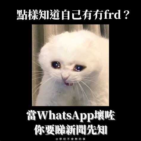學校不會教的事 反正冇人搵，影響唔大😇 Snt圍爐 學校不會教的事 Schoolnevertaught