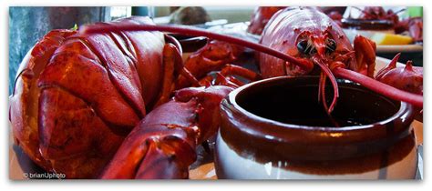When, Who and How?: WHY DO WE BOIL LOBSTERS ALIVE AND DO THEY FEEL PAIN?