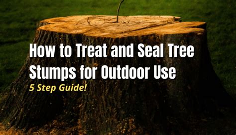How To Treat And Seal Tree Stumps For Outdoor Use The Backyard Pros