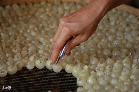 女人吃什麼補血，給你分享幾個你不知道的補血佳品 每日頭條