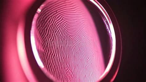Close Up Fingerprint Forensic Analysis Dark Lab Red Light Stock