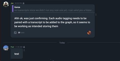 missing messages in tribe · issue 249 · stakwork sphinx tribes · github