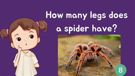 Declarative Interrogative Pronouns For Gradeschool Ppt