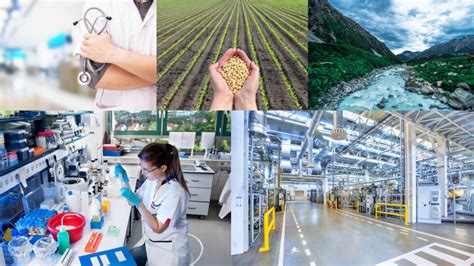 Branches Of Biotechnology Exploring The Different Fields