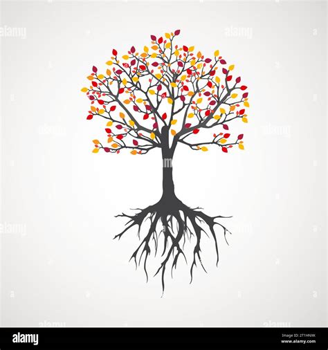 Abstract Tree With Roots Vector Outline Illustration Plant In Garden Stock Vector Image Art