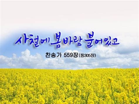 찬송가 559장 사철에 봄바람 불어 잇고all Year In Our Home ~통합찬송가305장가사악보ppt반주