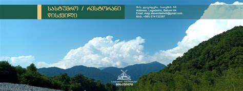 სასტუმრო რესტორანი წისქვილი Lagodekhi