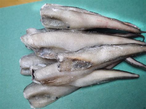 日本海の美味しい深海魚・げんげ幻魚 ～コラーゲン質に包まれた日本海の絶品食材～ おさかな料理の柴田屋