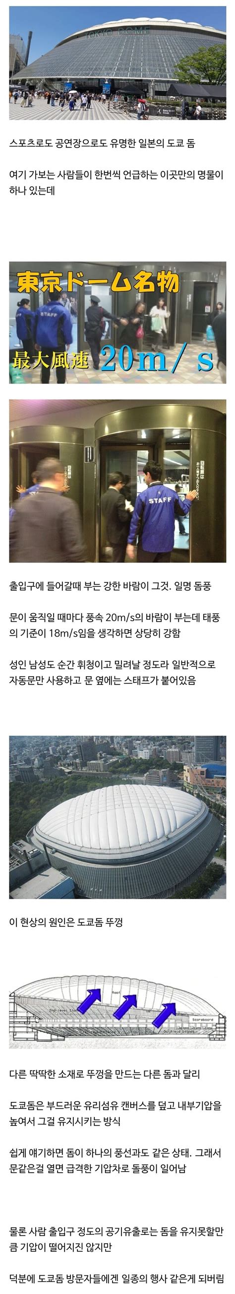 일본 도쿄돔에서만 경험할 수 있다는 명물 인스티즈 Instiz 이슈 카테고리