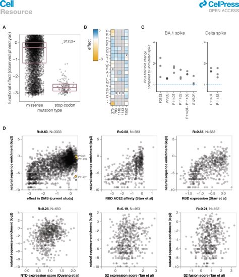 Figure 7 From A Pseudovirus System Enables Deep Mutational Scanning Of The Full Sars Cov 2 Spike
