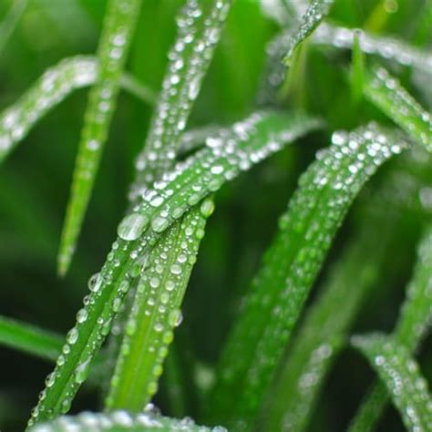 Amazon Musicでmeditation Rain Sounds Rain For Deep Sleep And Rain Sounds