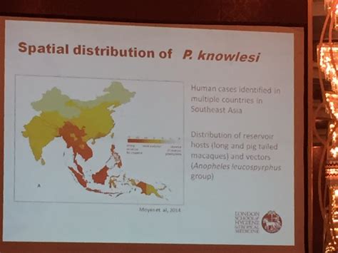 1st Borneo Tropical Diseases Congress Miphidic