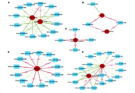 Coexpression Analysis Of Degs And Dems Based On Pearsons Download Scientific Diagram