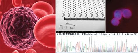 Teasing Out Circulating Tumor DNA