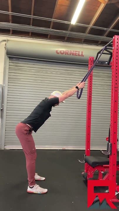 Scapular Pull Down Youtube