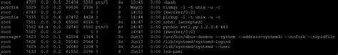 Difference Methods To Hide Linux Processes