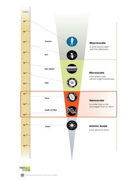 Scale Of Measurement Macro To Atomic