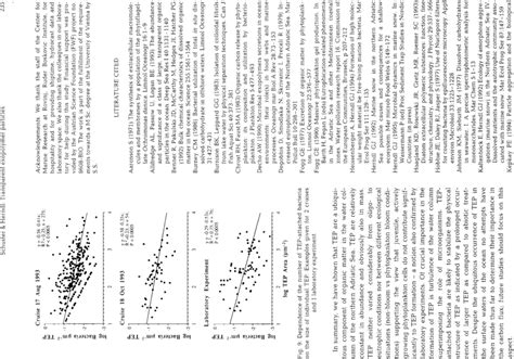 Dependence Of The Number Of Tep Attached Bacteria On The Size Of