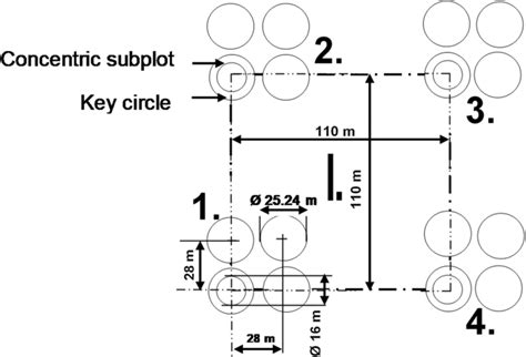Monitoring Cluster I Consisted Of Four Permanent Sample Plots