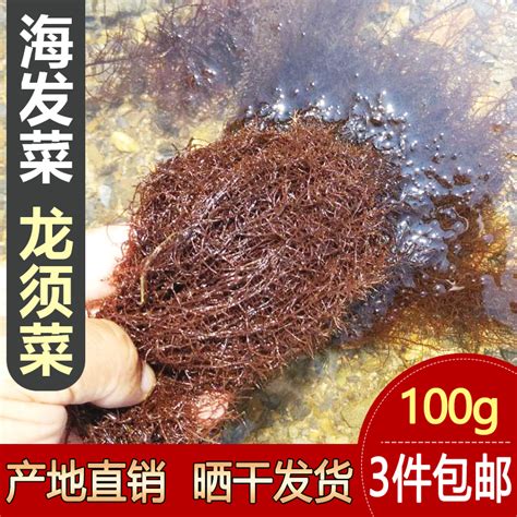108种海菜图片大全 108道菜 满汉全席108道菜 大山谷图库