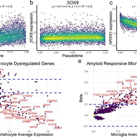 Reactive Astrocytes Exhibit Pathologic Transcriptome Dysregulation A