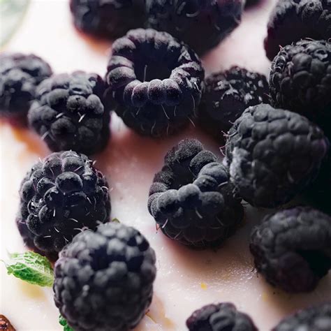Черная малина и ваниль (Black Raspberry Vanilla) Candlescience ...